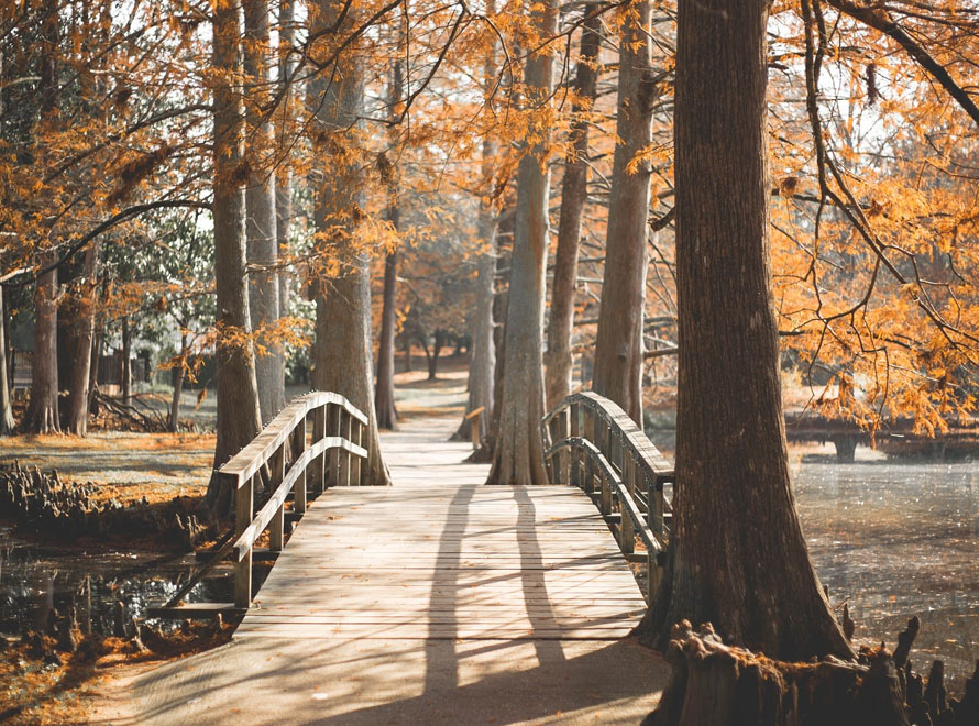 Life at RELX – RELX - Information-based analytics and decision tools